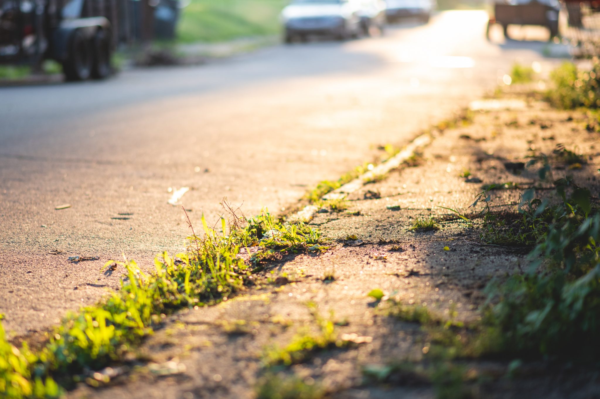 Brookside Initiative - Lyydia